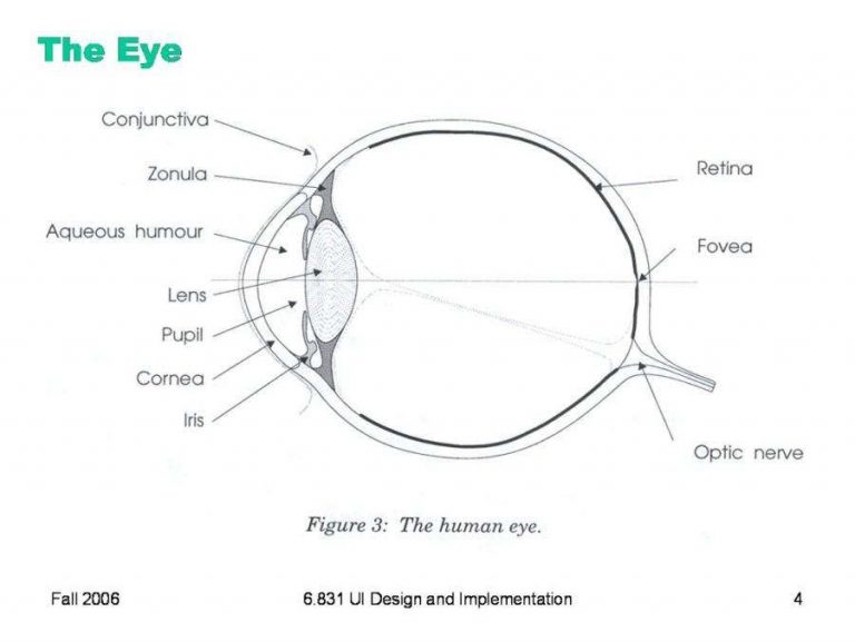 Blank Eye Diagram