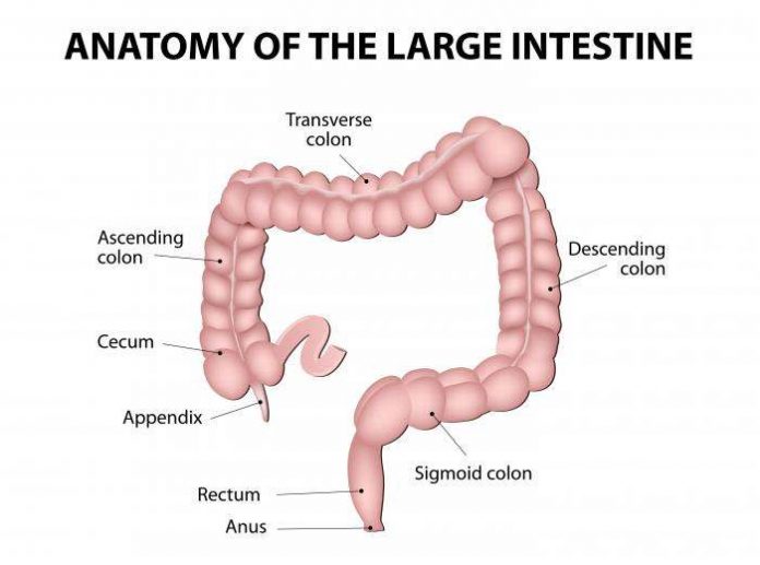 Colon diagram