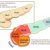 Pancreas diagram | Healthiack