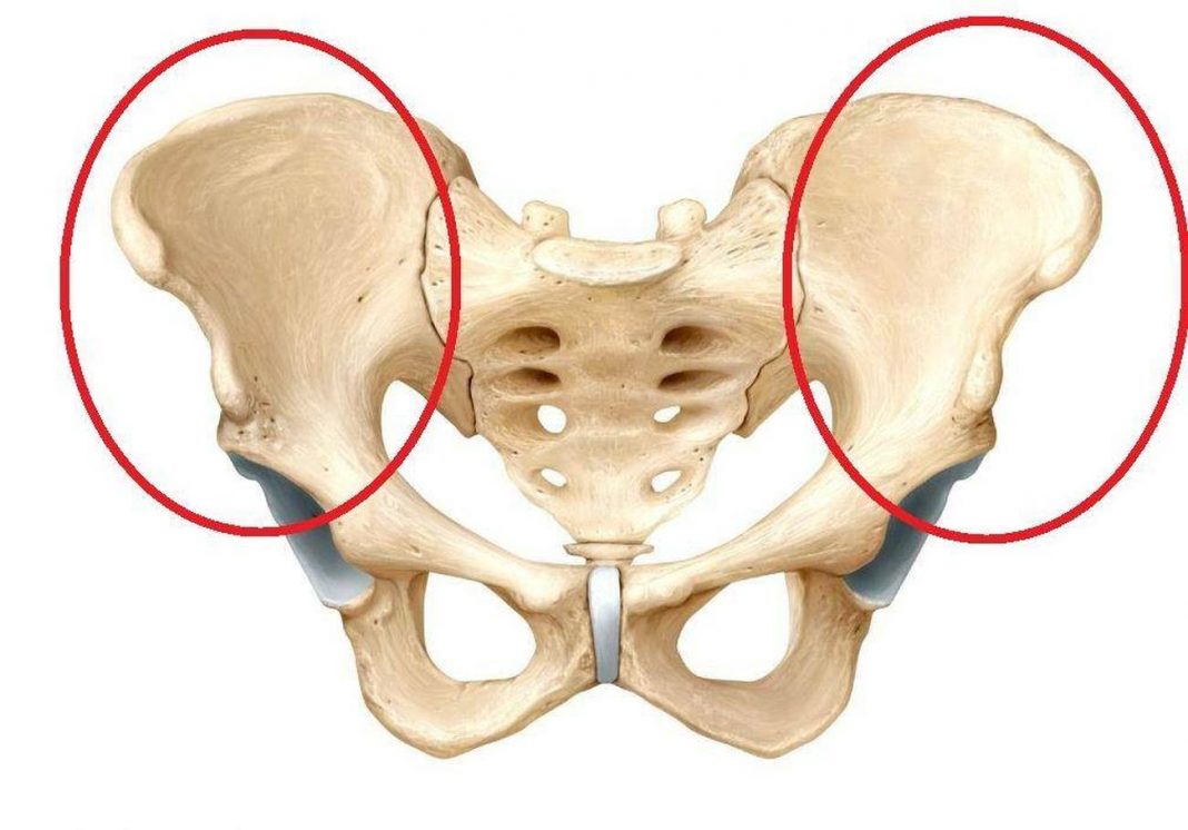 Pictures Of Ala Of The Ilium