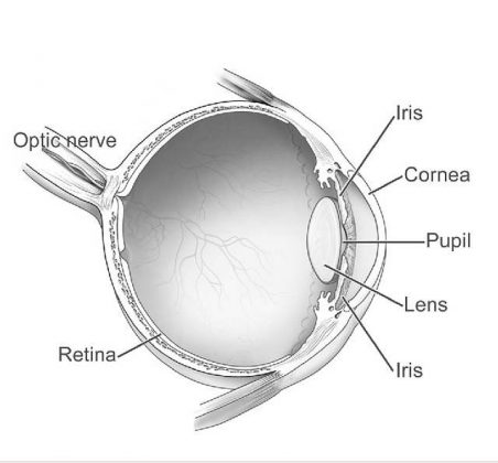 Simple eye diagram