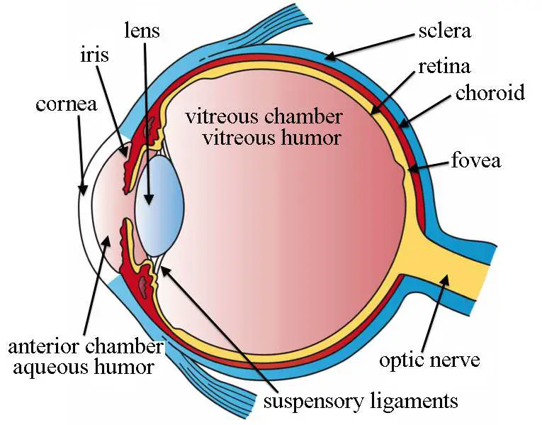 Simple Eye Diagram