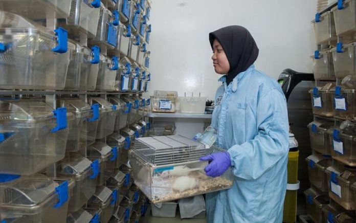 3 Ways to Improve Your Animal Research Lab